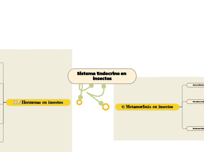 Sistema Endocrino en insectos - Mind Map